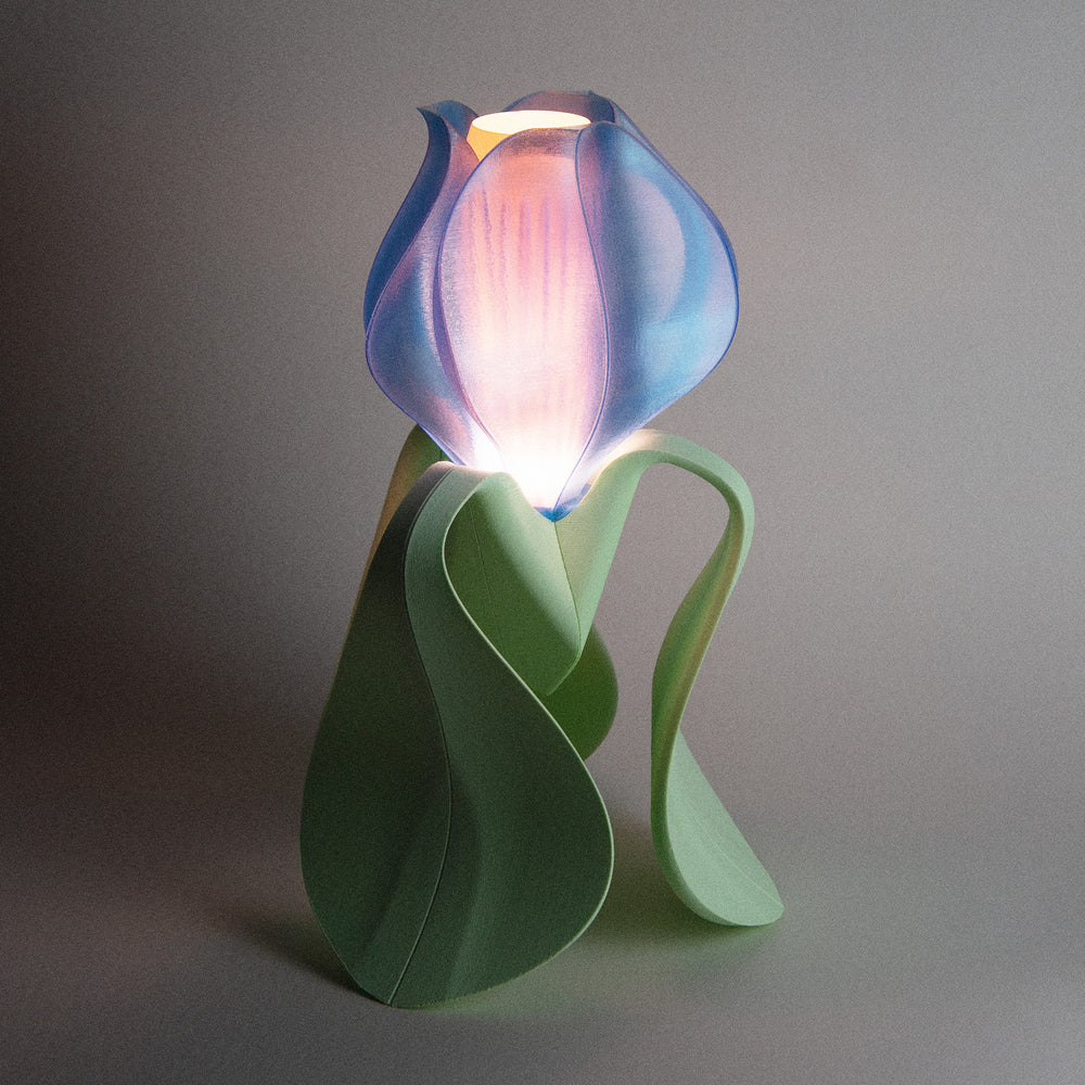 Lamps that take your imagination on a journey. – Irrational Flames