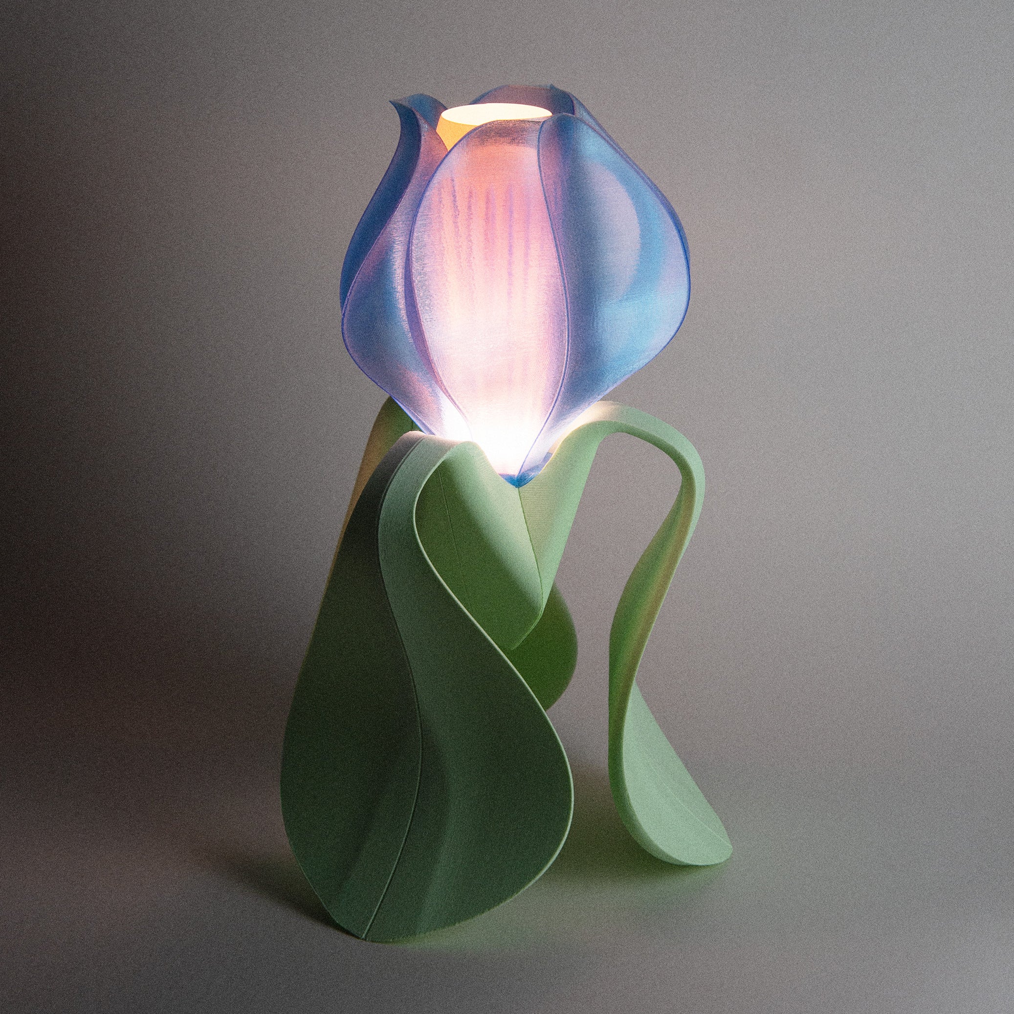 Lamps that take your imagination on a journey. – Irrational Flames